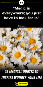 15 Magical Quotes to Inspire Wonder and Enrich Your Life - Fyrova