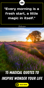 15 Magical Quotes to Inspire Wonder and Enrich Your Life - Fyrova