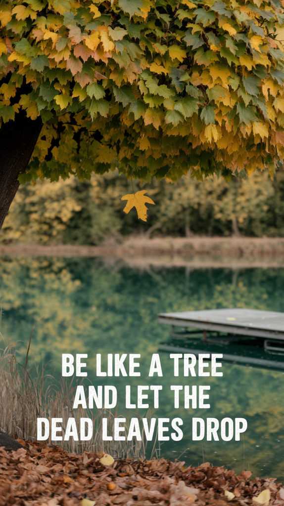 16 Soothing Quotes: Words to Calm the Storm Within - Fyrova