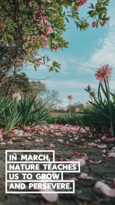 The Best Motivational Quotes for March 2025 to Inspire Growth and ...